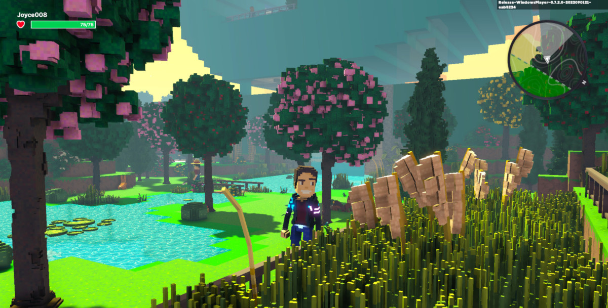 Expérience Metaverse The Sandbox dédiée aux collaborateurs du Crédit ...